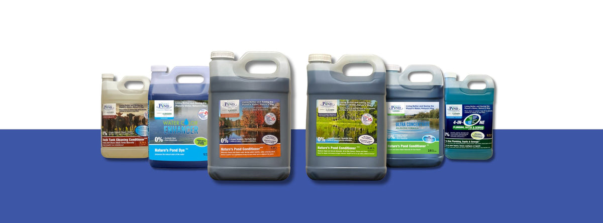 Natural Pond Care and Water Management – Koenders Water Solutions - USA